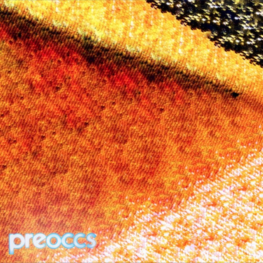 Preoccupations – “MUR” and “PONR” – i think i better follow you around